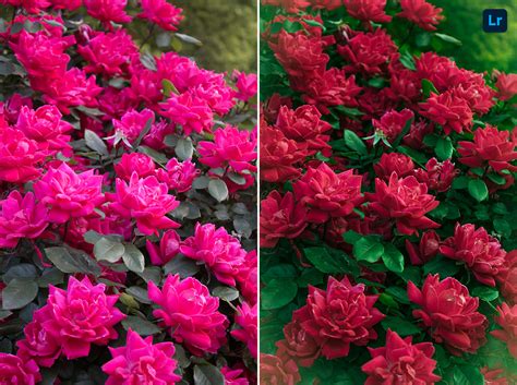 Ruby Rose Edit Photoshop Lightroom