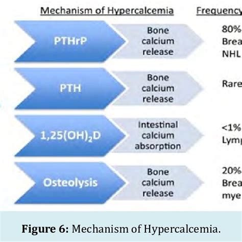 Primary Hyperparathyroidism And Malignancy Are The Two Most Common Causes Download Scientific