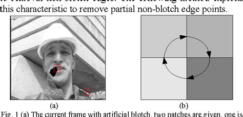 Figure 1 From Fast And Effective Blotch Identification Algorithm In