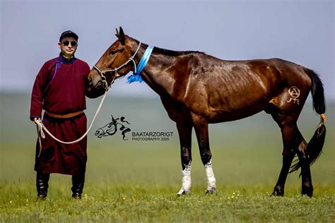 Б Ганпүрэв Б Ганпүрэв Added A New Photo