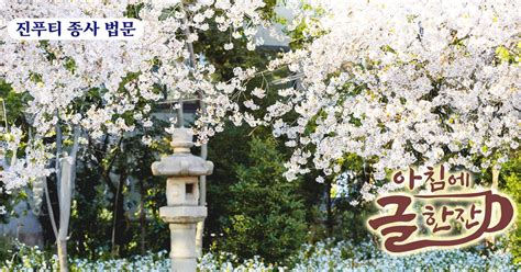 한국 아침에 글 한 잔 지장보살본원경 12 진푸티 종사 법문 시리즈 제1품 도리천궁신통품 12” 석가모니불 과거의 헤아릴 수 없는 시간의 흐름 속