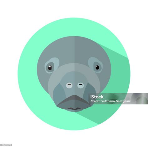 흰색 배경에 두공 물고기 아이콘 두공 로고 벡터 일러스트레이션 공중에 대한 스톡 벡터 아트 및 기타 이미지 공중 귀여운