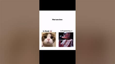 Programming Coding Engineering Funny Funnyvideo Youtube