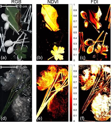 Two Examples Of The Normalised Difference Vegetation Index Ndvi B Download Scientific