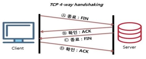 2 Tcp 와 Udp 의 특징 및 차이점