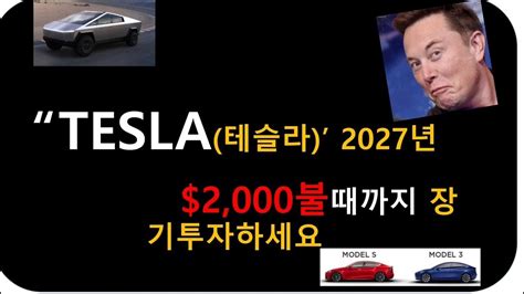 테슬라 주가 2000불 간다그때까지 즐기세요 Youtube