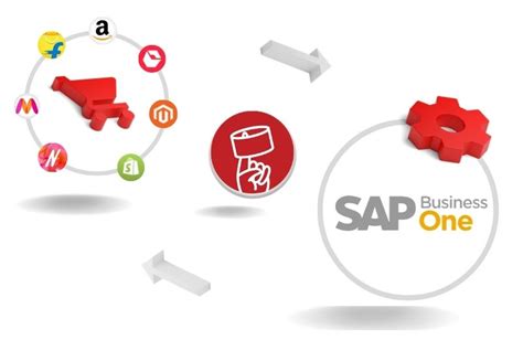 Bapi Sap B1 Integration With Ecommerce Via Browntape