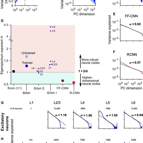 Comparing The Eigenspectrum Of Neural Codes In The V1 Model Of 1 With Download Scientific
