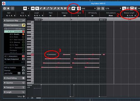 How To Hide Sustain Pedal Data In Midi Editor Piano Roll View 9 By