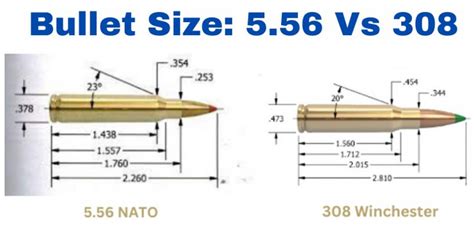 308 Vs 556 Ammo Which Cartridge Is Right For You