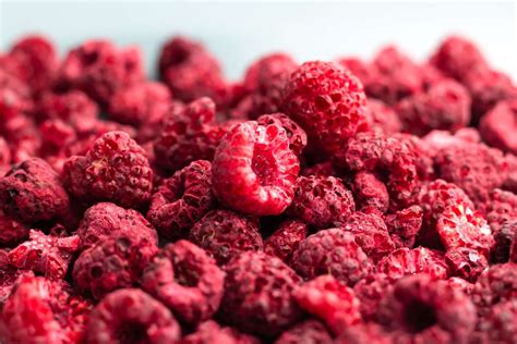 Freeze Dried Berries Recipe Vegan Girls Guide