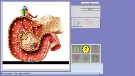10 Reasons Why Vector Nls Scan Is A Best Idea Vector Nls Nls Vector
