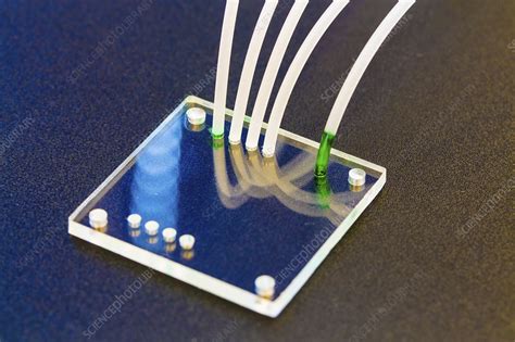 Lab On Chip Stock Image F Science Photo Library Lab On Chip Stock Image F Science Photo Library