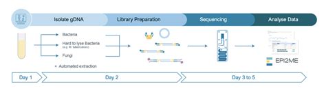 Nanopore Only Microbial Isolate Sequencing Solution No Miss From Cell