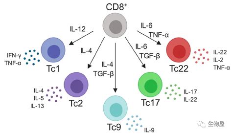 深圳市细胞治疗技术协会