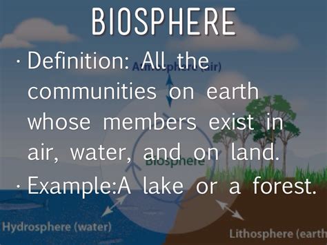 Biosphere Definition