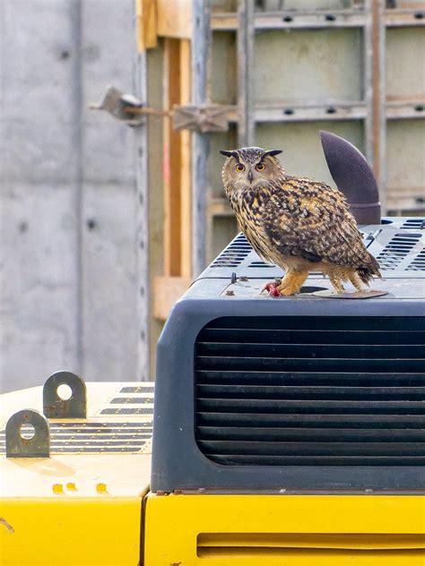 Constance L Hunter Constancehunter Twitter