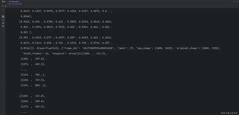 如何打开pkl文件查看里面的内容查看pkl文件 Csdn博客