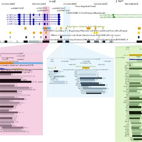 In Silico Functional Annotation Of Candidate Causal Variants Of Heals Download Scientific