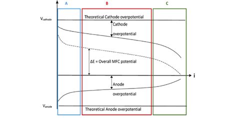 Fuel Cell Polarization Curves And Losses Types Are A Activation