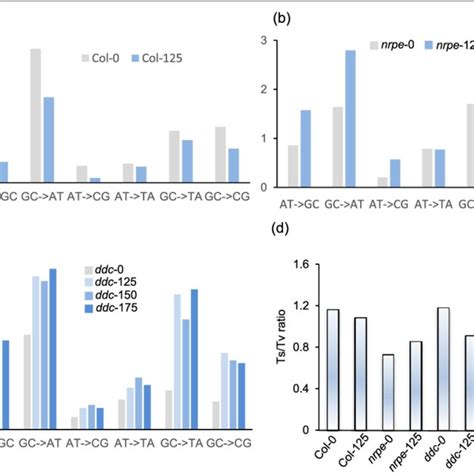 Spectrum Of Single Base Substitution Mutations Rates Of Single Base Download Scientific