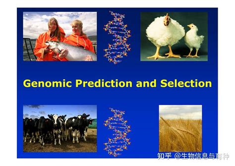 Gs Ben Hayes的基因组选择课程 知乎