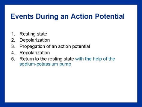 Chapter 3 Neural Control Of Exercising Muscle Learning