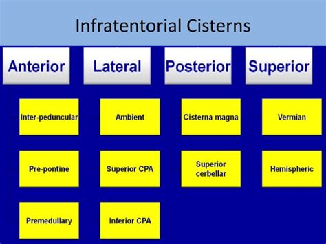 Cisterns Of Brain And Its Contents Along With Its Classification And Approach To Different Form