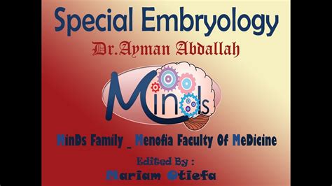 Ep1 Special Embryology Pharyngeal Arches And Pouches And Clefts Youtube