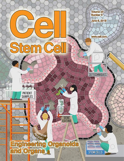 Issue Cell Stem Cell