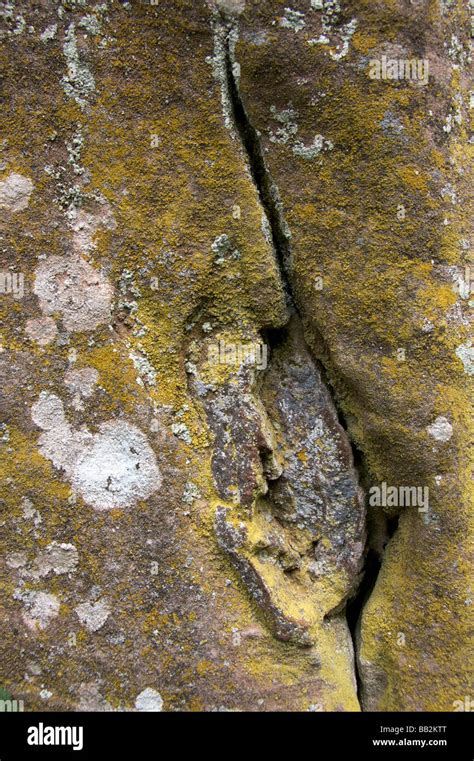 Structures In A Rock Stock Photo Alamy