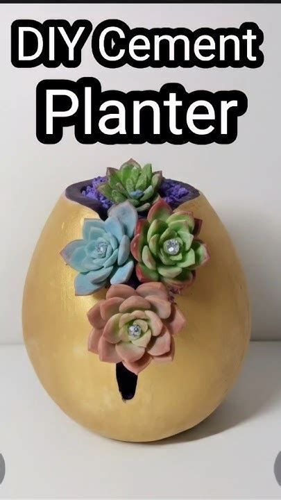 Diy 시멘트 화분 만들기 시멘트화분 Diy화분 홈데코 다육이화분 업사이클링shorts Youtube