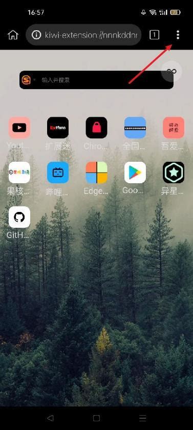 盘点一下可以装插件的手机浏览器 知乎