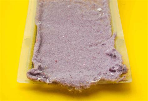 Did You Know You Can Use Dryer Lint In Your Garden