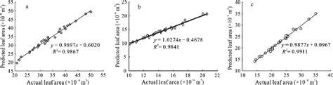 Fig Fig1 1 The Relationships Between Actual Leaf Area And Predicted