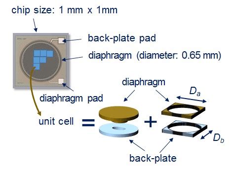 Schematic Diagrams Of A Capacitive Type MEMS Acoustic Sensor For The Download Scientific