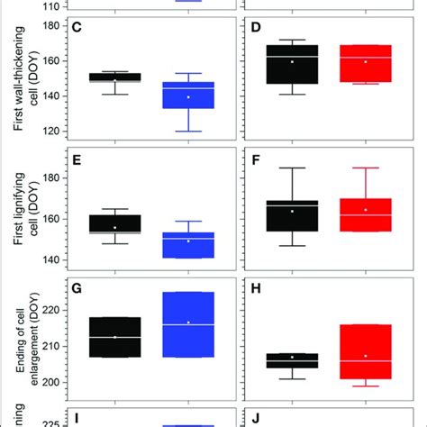 Timings Of Xylem Differentiation Of Each Species Boxes Represent