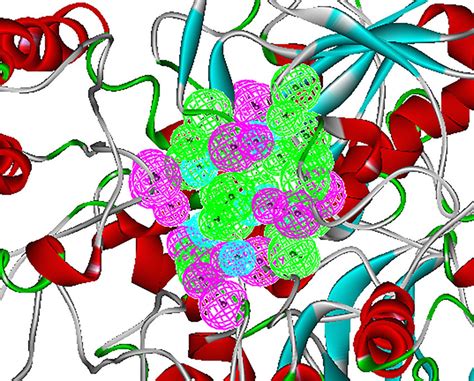 Structure Based Pharmacophore Model Of Bioa This Pharmacophore Was