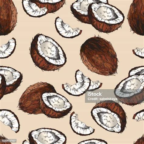 전체 반 잘라낸 슬라이스 코코넛 이국적인 과일 베이지색 배경에 손으로 그린 빈티지 스타일이 있는 다채로운 벡터 매끄러운 패턴 갈색에 대한 스톡 벡터 아트 및 기타 이미지