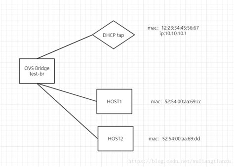 Kvmovs自定义网络并开启虚拟机kvm Ovs Csdn博客
