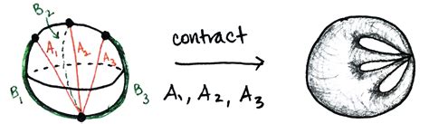 Clever Homotopy Equivalences