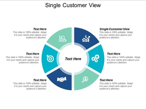 Single Customer View Ppt Powerpoint Presentation Gallery Themes Cpb