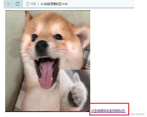 Html标签总结 Csdn博客