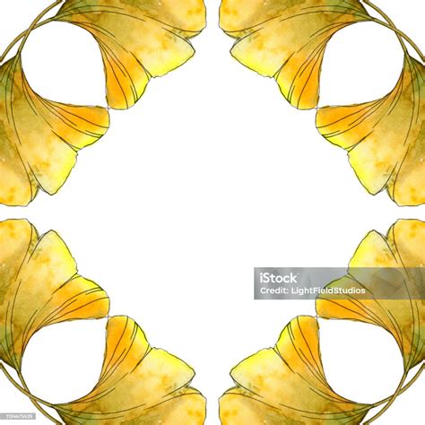 노란색 녹색 은행나무 Biloba의 잎 수채화 배경 그림 설정 합니다 프레임 테두리 장식 스퀘어입니다 그리기에 대한 스톡 벡터 아트 및 기타 이미지 Istock