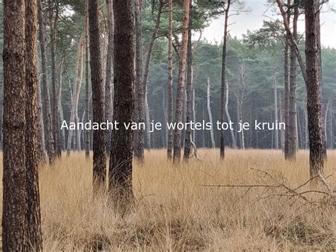 Over Mij Brigit Laumen