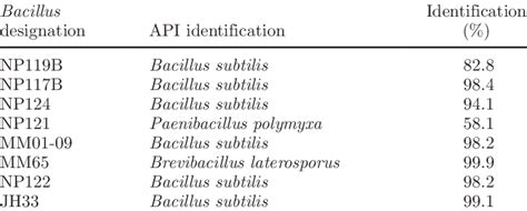 Identification Of Candidate Bacillus Spp By Biomérieux Api 50 Chb 1 Download Table