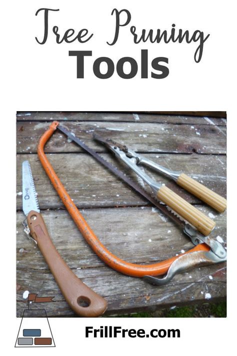 Tree Pruning Tools Sharp Is Best