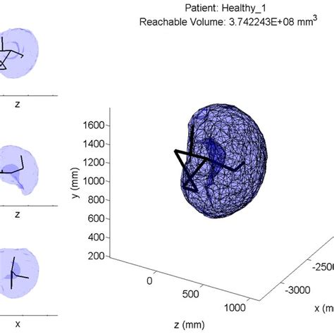Reachable Workspace For A Healthy Subject Upper Extremities Are Shown Download Scientific