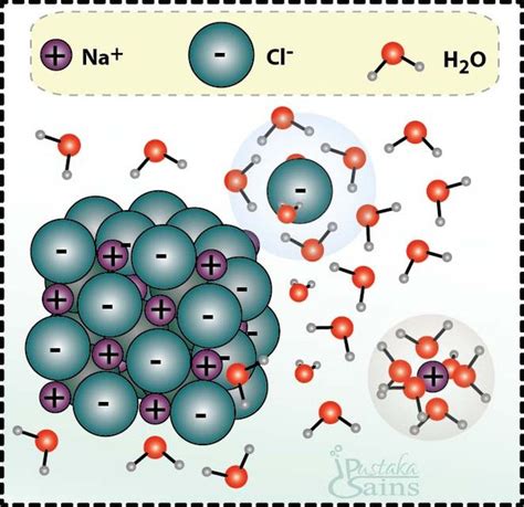 Detail Contoh Pelarut Non Polar Koleksi Nomer 50