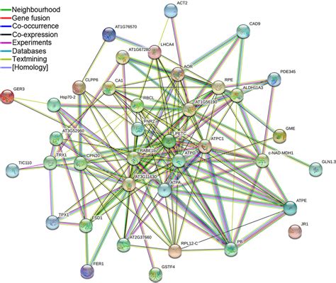 Interaction Network Of Differentially Expressed Proteins Download